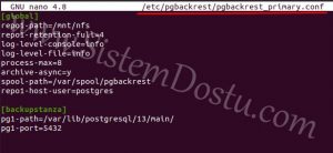 PostgreSql - PgBackRest ile Standby Server'dan Backup alma - Sistem ve Network Dünyasına ...