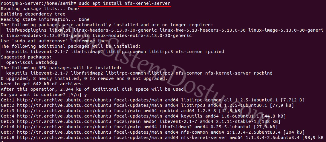 Ubuntu NFS Server Kurulumu - Sistem ve Network Dünyasına Hoşgeldiniz.